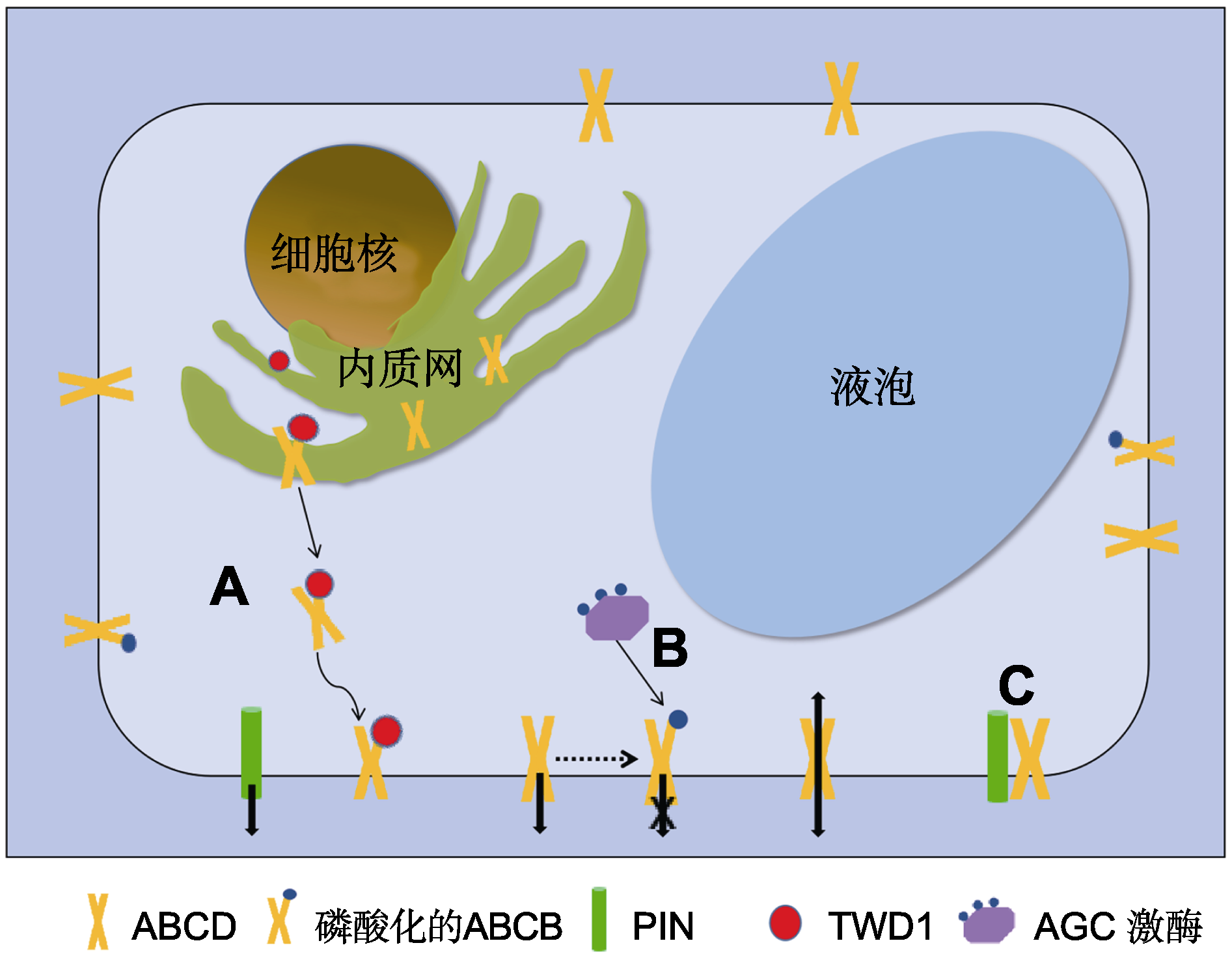 VersaBot 文达 文献综述助手 高效文献阅读助手 学术智能体 DeepSeek版